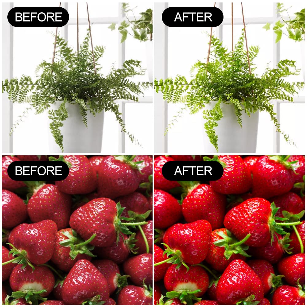 mfxmf 2 Pack LED Grow Light Bulbs A19 Bulb, Full Spectrum Plant Light Bulb, 9W E26 Grow Bulb Replace up to 80W, Grow Light for Indoor Plants, Flowers, Greenhouse, Indore Garden, Hydroponic