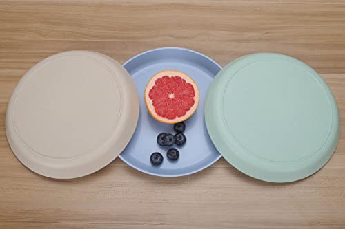 LuckyZone 9 Inches Reusable Wheat Straw Plates, Sets of 4 | Lightweight & Unbreakable Plate for Home Kitchen | Dishwasher & Microwave Safe | BPA Free & Eco-Friendly (9 Inches)