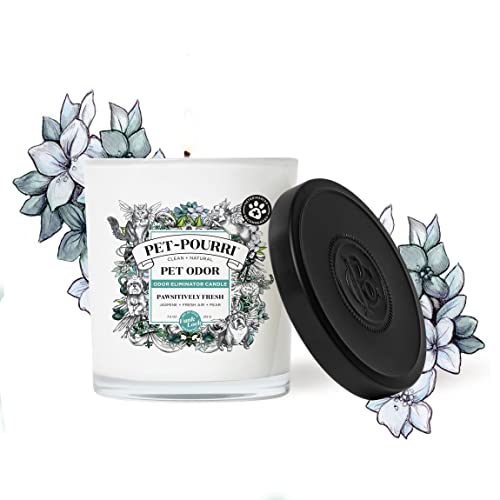 Pet-Pourri Pet Odor Eliminator Candle, Pawsitively Fresh, 7.5 Oz - Jasmine, Fresh Air and Pear (Veterinarian Recommended)