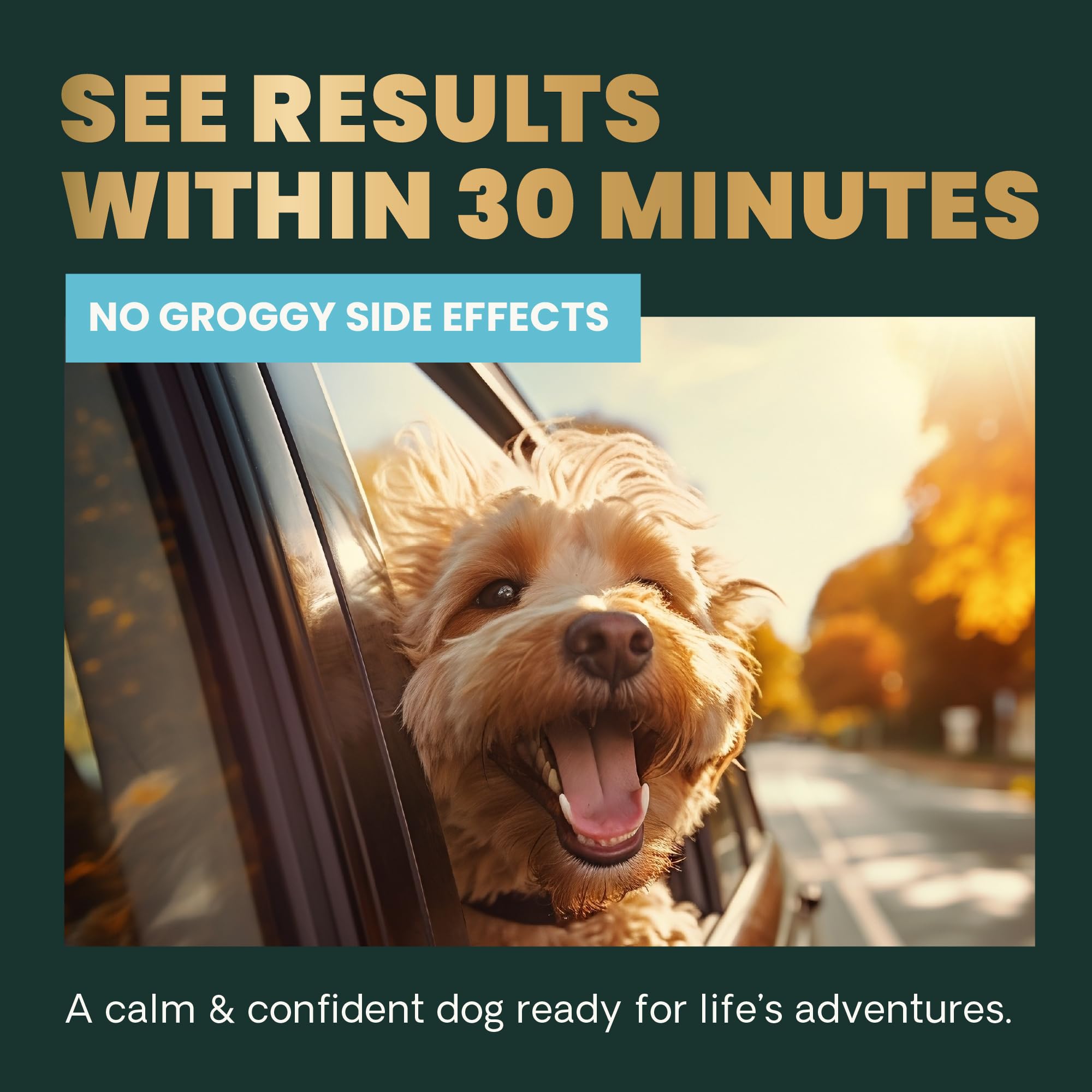 VetriScience Composure Calming Chews for Dogs - Clinically Proven Dog Anxiety Relief Supplement with Colostrum, L-Theanine & Vitamin B1 for Stress, Storms, Separation & More, 120 Count, Chicken Flavor