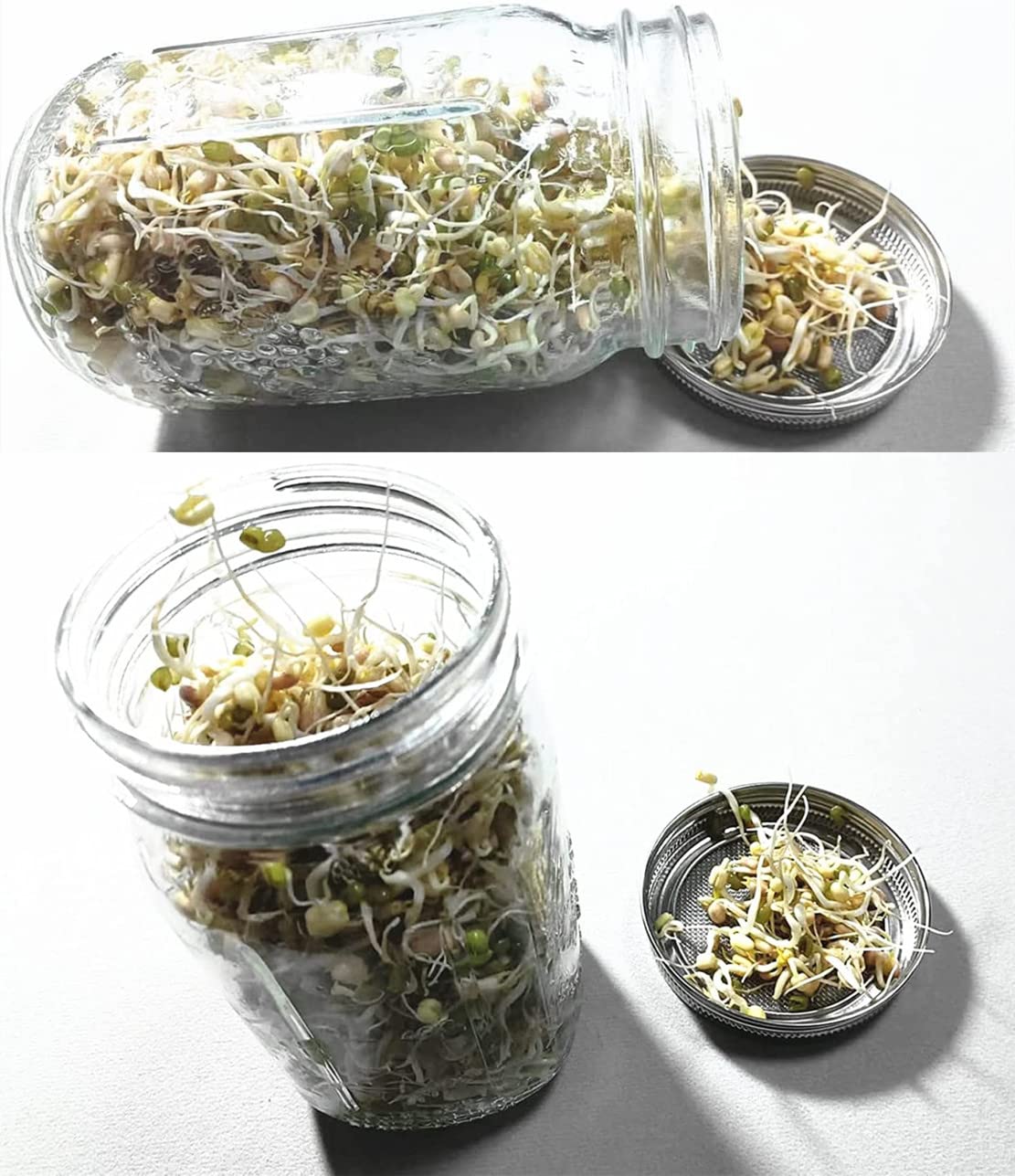 Mason Jar Canning Sealing Shaker Strainer Lid 316 Stainless Steel Wide Mouth Sprouting Lids Screen Mesh Strainer Lid for Salad Sprouts Alfalfa Broccoli Seeds Sprouter Kit Rust-Proof