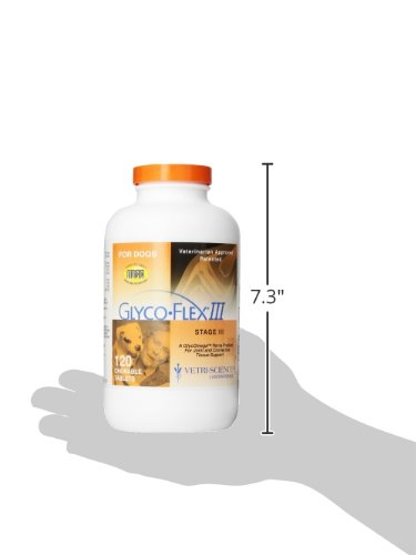 VetriScience Glycoflex 3 Clinically Proven Hip and Joint Supplement for Dogs - Maximum Strength Dog Supplement with Glucosamine, MSM, Green Lipped Mussel & DMG - 2 Pack (120 Chewable Tablets Each)