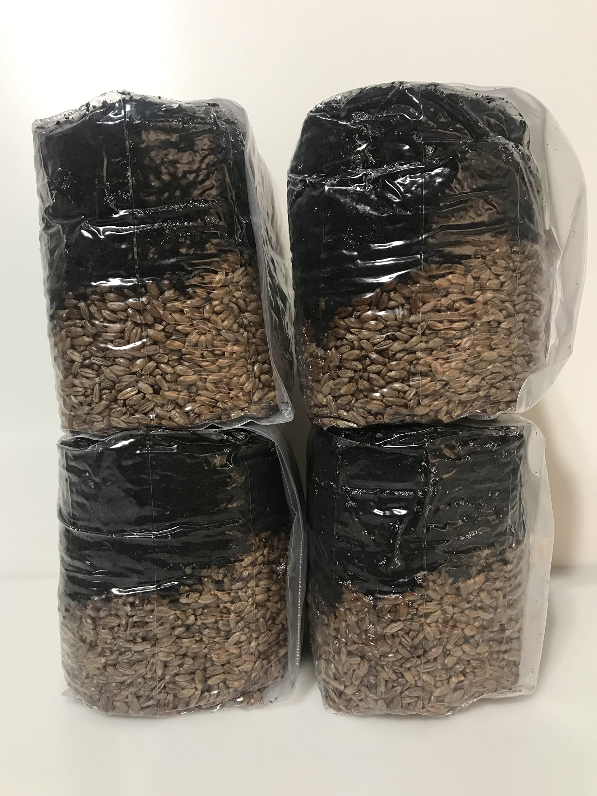 Mushroom Grow Kit - Magic All in One Mushroom Grow Bags - 4 Pack