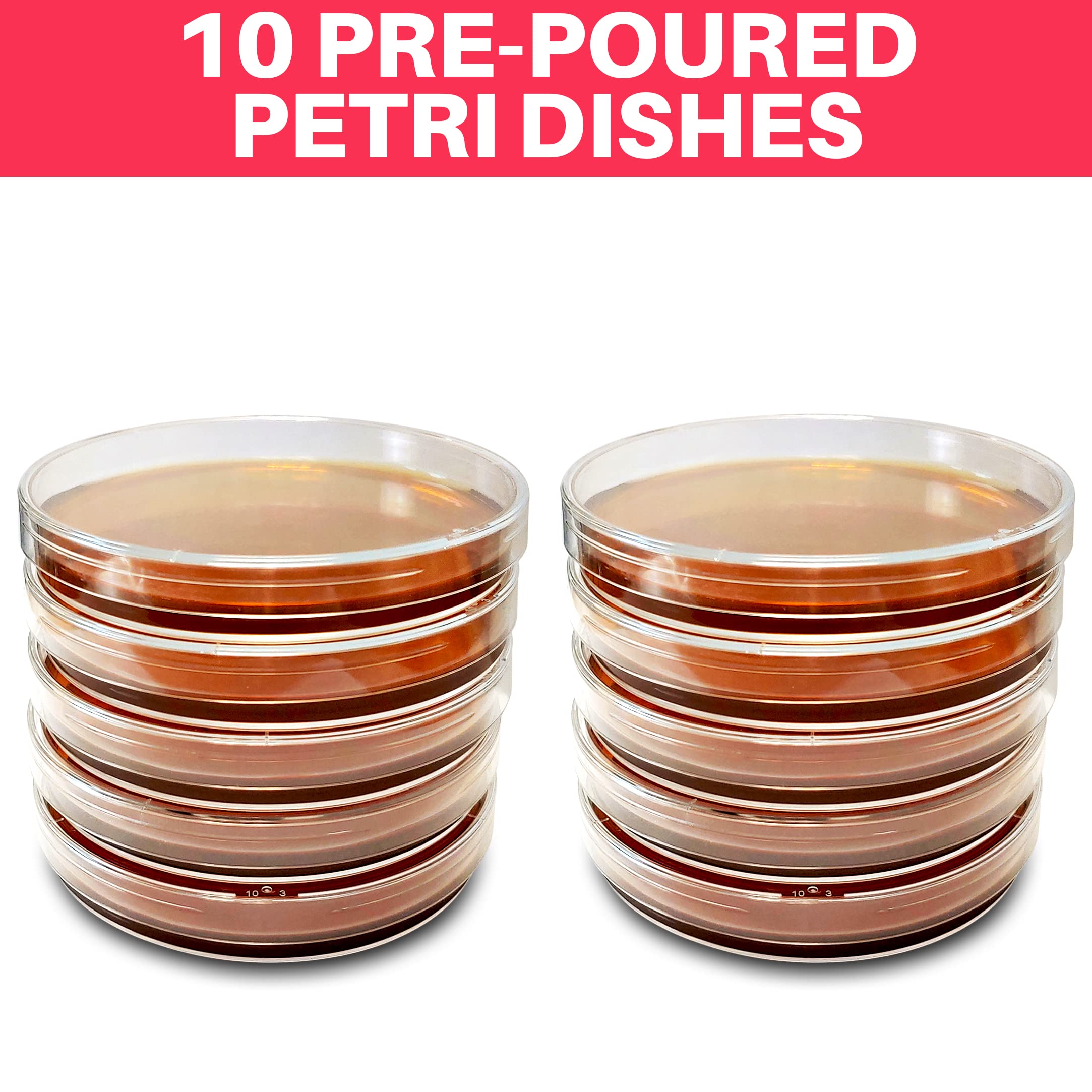 Yeast Peptone Dextrose (YPD) Agar Plates - Evviva Sciences - Great for Yeast Cultivation - 10 Prepoured YPD Petri Dishes - Great for Science Projects