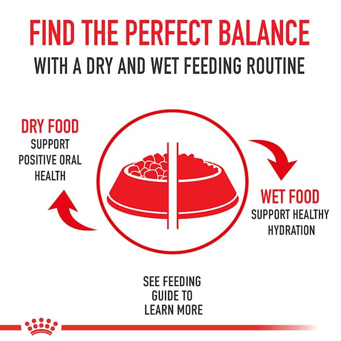 Royal Canin Medium Digestive Care Dry Dog Food, 17 lb bag