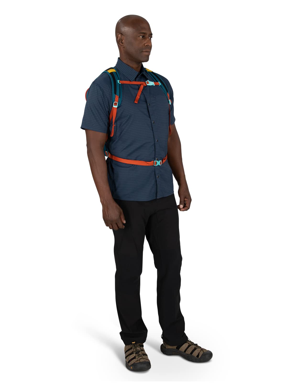Osprey Daylite Plus Everyday Backpack, Silver Lining/Blueberry, One Size