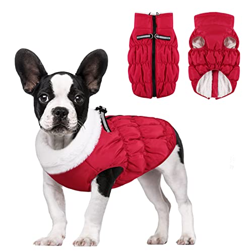 Queenmore Warm Dog Winter Jacket, Fleece Lining Dog Cold Weather Coats, Windproof Turtleneck Dog Vest with Neckline D-Ring, Snowproof Dog Jacket for Small Medium Large Dogs