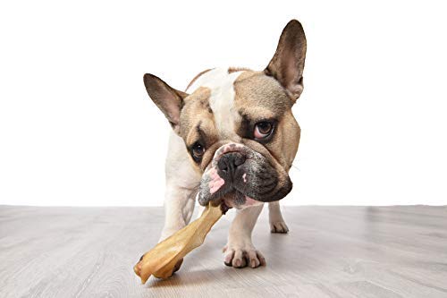 Yummy Dog Chews โ Premium Cow Ears for Dogs โ Long Lasting Pet Chew Treats โ Sourced from Grass Fed Cattle โ Rich Taste & Chewy Texture for All Breeds (6 Ears)