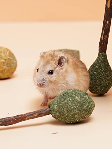 QWINEE 6pcs Hamster Chew Toy Set Small Animal Chewing Straw Cakes Balls and Lollipops for Rabbits Gerbils Rats Chinchillas Multicolor One Size
