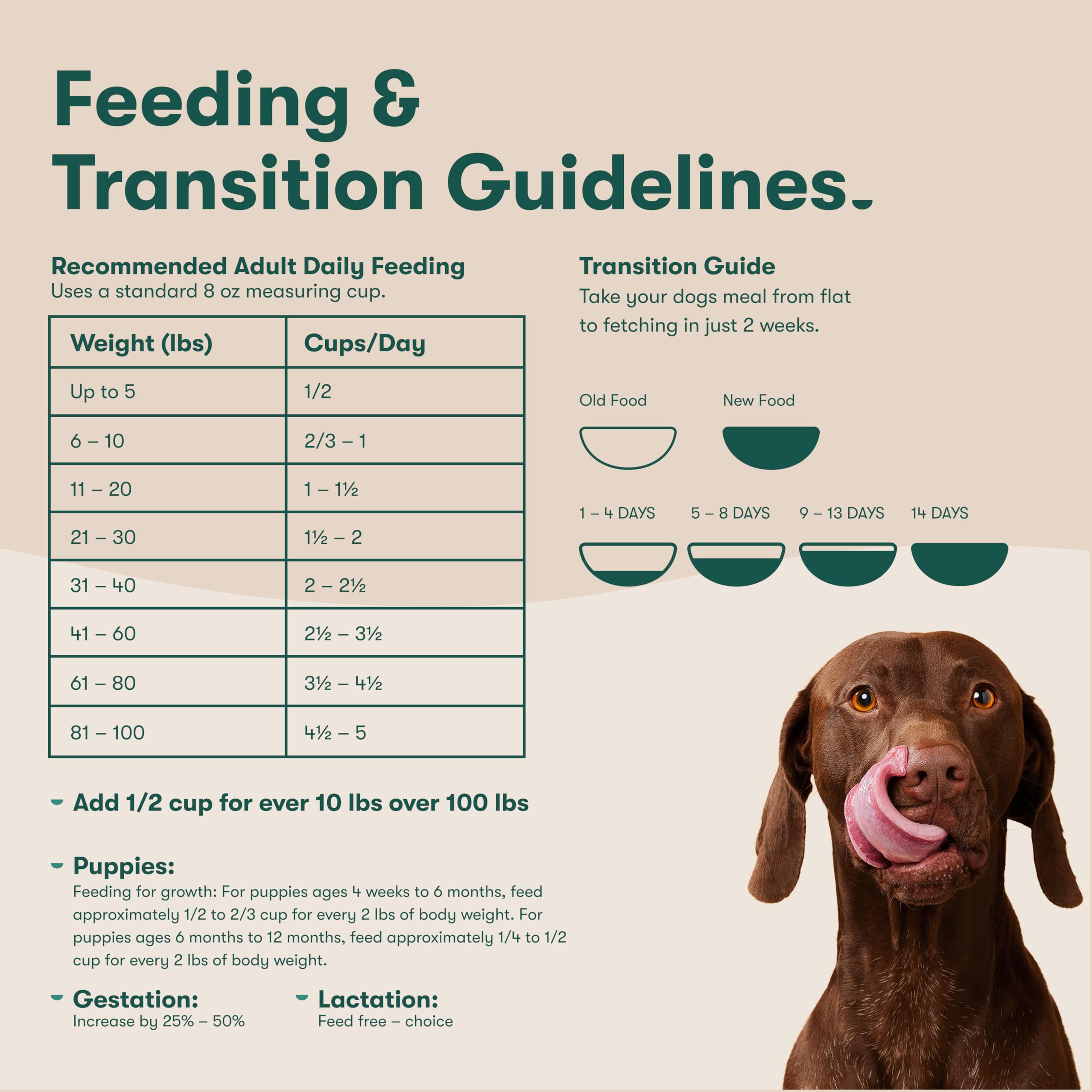 Salmon, Sweet Potato & Carrot Dry Dog Food, Grain Free, High Protein, All Natural, Promotes Healthy Joints, Coat & Immune Function, No Artificial Fillers, 4 Lb. Bag
