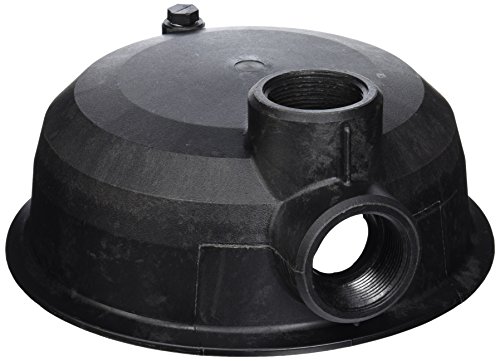Pentair C176-53P Tank Body Replacement Pool and Spa Pump