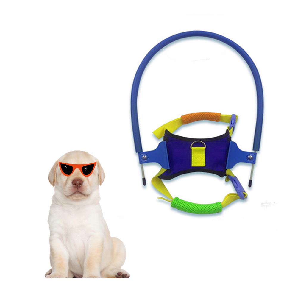 Tutuba Harness for Blind Dog, Safe Blind Dog Harness Guide Device,Protective Vest Ring for Dogs-Prevent Accidents & Build Confidence