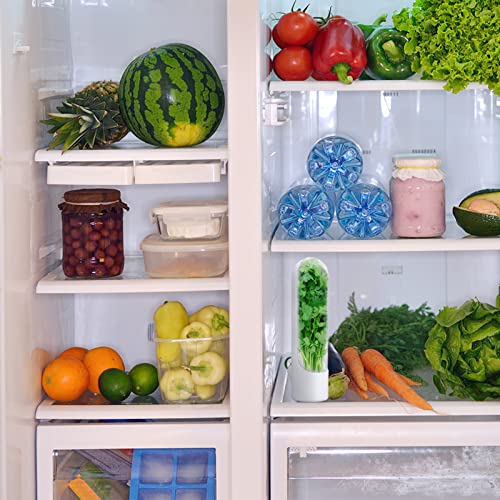 plplaaobo Herb Keeper, Freshest Herb Savor Fridge Organizer, Herb Storage Cilantro Containers for Refrigerator, Savor Keeps Greens Preserver for Cilantro, Parsley, Basil, Chives, Mint for 2-3 Weeks