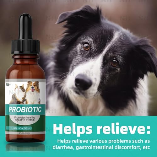 SMASUPT Probiotic Chews for Dogs, 120 Soft Chews, 10.58 oz, Gut Health, Digestive Health, Immune System + Probiotic Drops