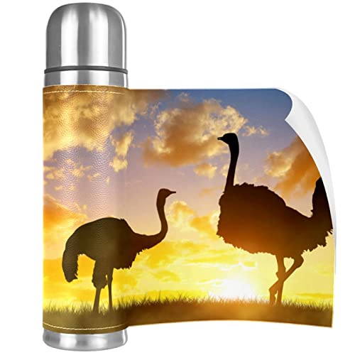 Ostrich African Sunset Vacuum Insulated Water Bottle Stainless Steel Thermos Flask Travel Mug Coffee Cup Double Walled 17 OZ