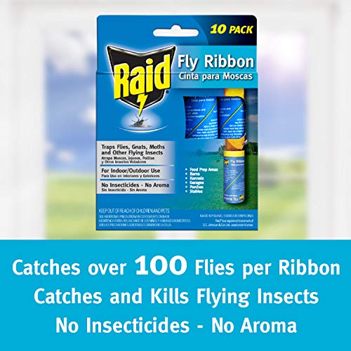 Raid FR10-RAID RaidĀ® Fly/Bug Catcher 10 Count
