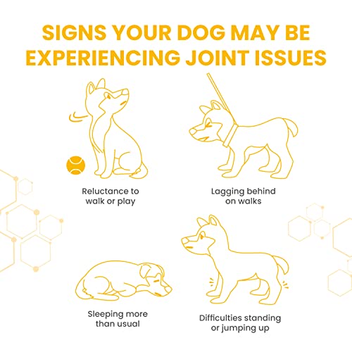 Vetzyme High Strength Flexible Joint Tablets 30