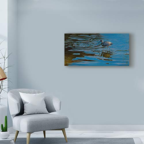 Trademark Fine Art Ripples in The Shallow by Michael Jackson, 12x24-Inch
