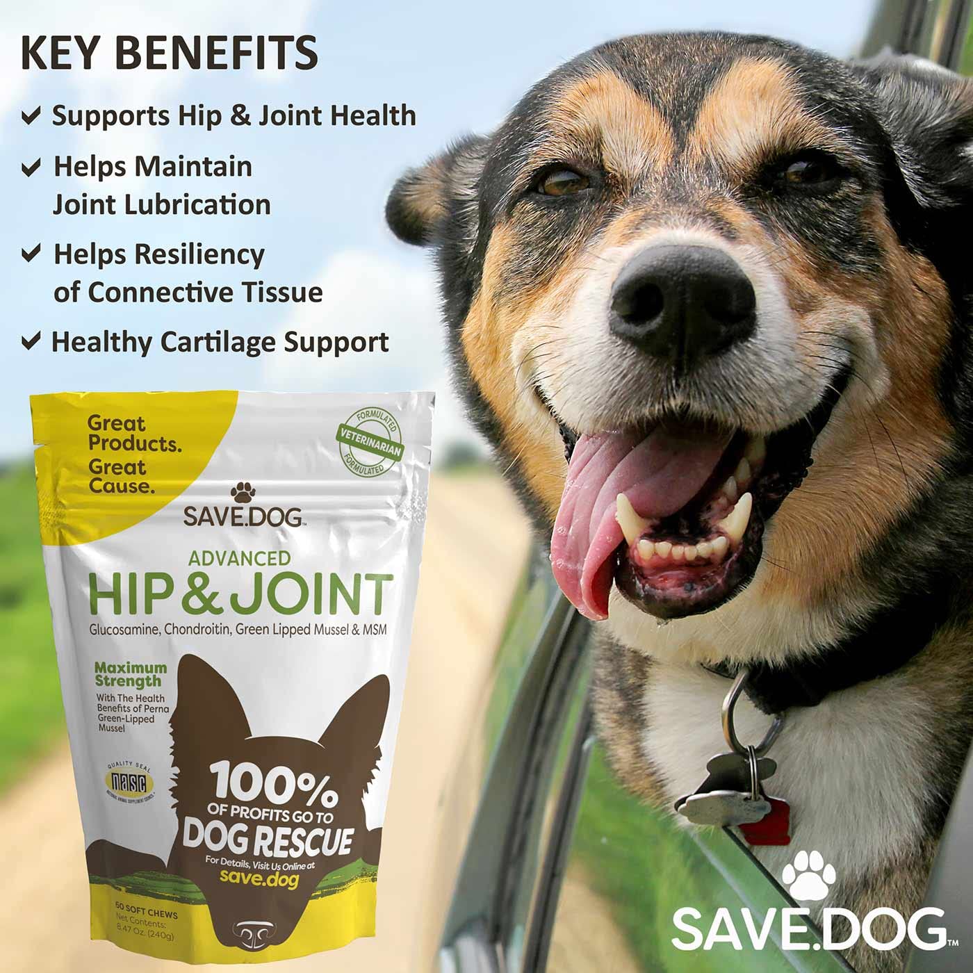 SAVE.DOG Chewable Hip and Joint Supplement & Omega Itch Relief for Dog Bundle