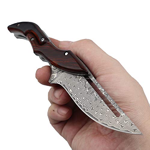 MASALONG Residual Wings KNI191 Damascus folding collection knife (Straight back)