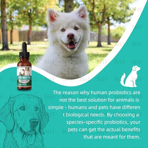 SMASUPT Probiotic Chews for Dogs, 120 Soft Chews, 10.58 oz, Gut Health, Digestive Health, Immune System + Probiotic Drops