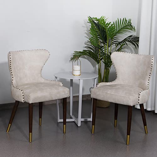 ROIYEIER Modern Dining Chairs Set of 2, Waterproof Wear Resistant Upholstered Dining Chairs with Armrest Soild Legs for Dining Room Living Room, Beige