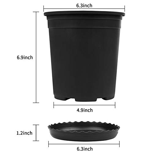 Mhonniwa 1 Gallon Nursery Pots for Plants Plastic Pots with Drainage Hole and Saucer for Indoor Outdoor Plants, Seedlings, Succulents and Cuttings, Black, 6 inch 12 Pack