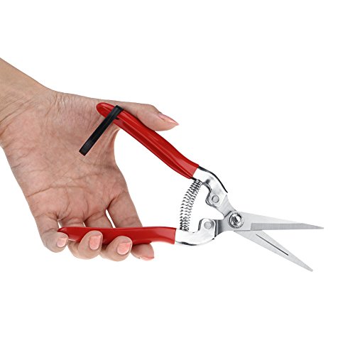 Pruner Stainless Steel,Garden Scissor, Fruit Tree Bonsai Gardening Pruning Shear Pruner Garden Snips Spring Tool(Straight)