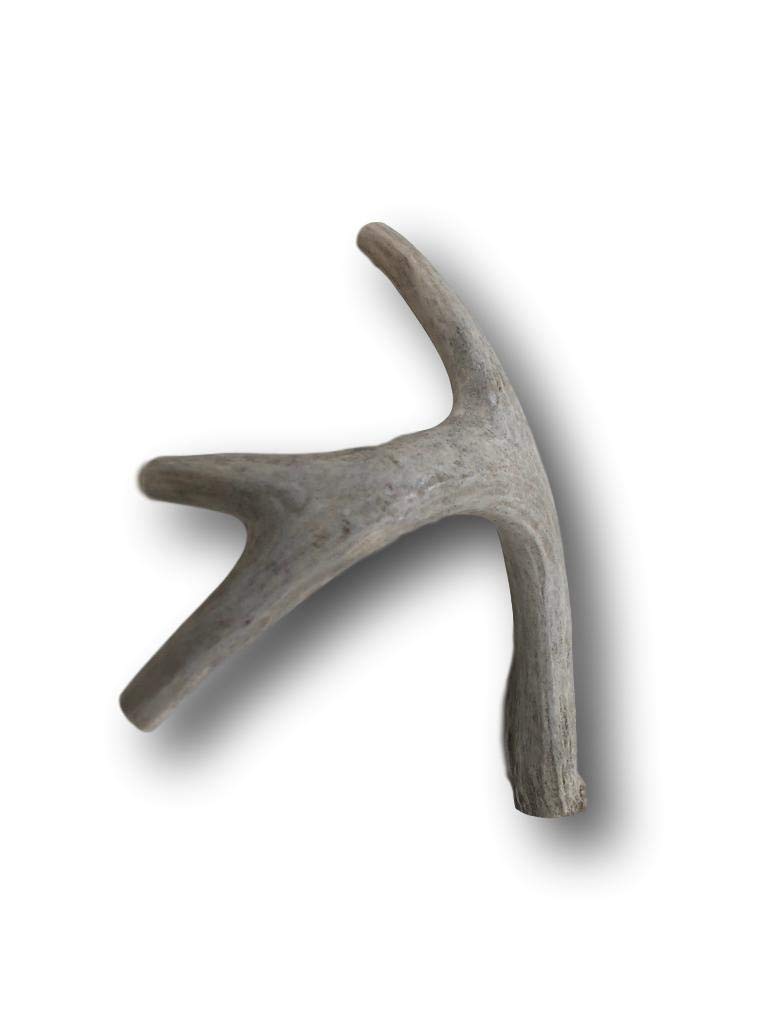 Top Dog Chews Large 6"-9" Long -Antler Dog Chew From Single Antler