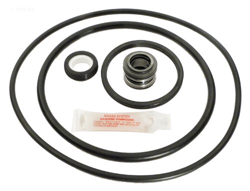 Puri Tech Replacement Motor Kit for Pentair Pinnacle 1.5HP 342856 AO Smith USQ1152 with GO-KIT-24