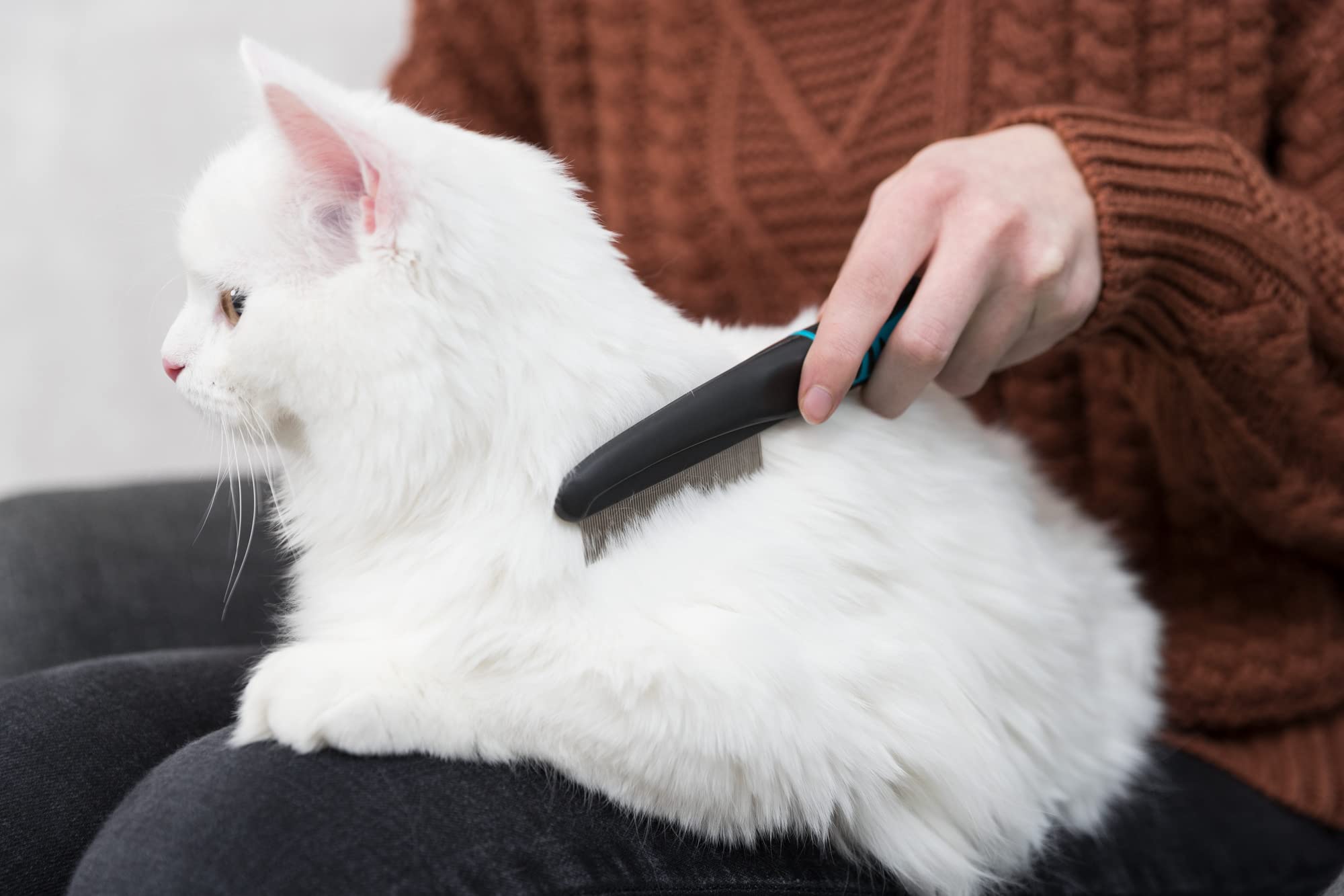 TRIXIE Pet Grooming Flea Comb, For Cats, Dogs, and Small Animals, Removes Fleas, Flea Eggs and Other Debris, 8" (21cm)