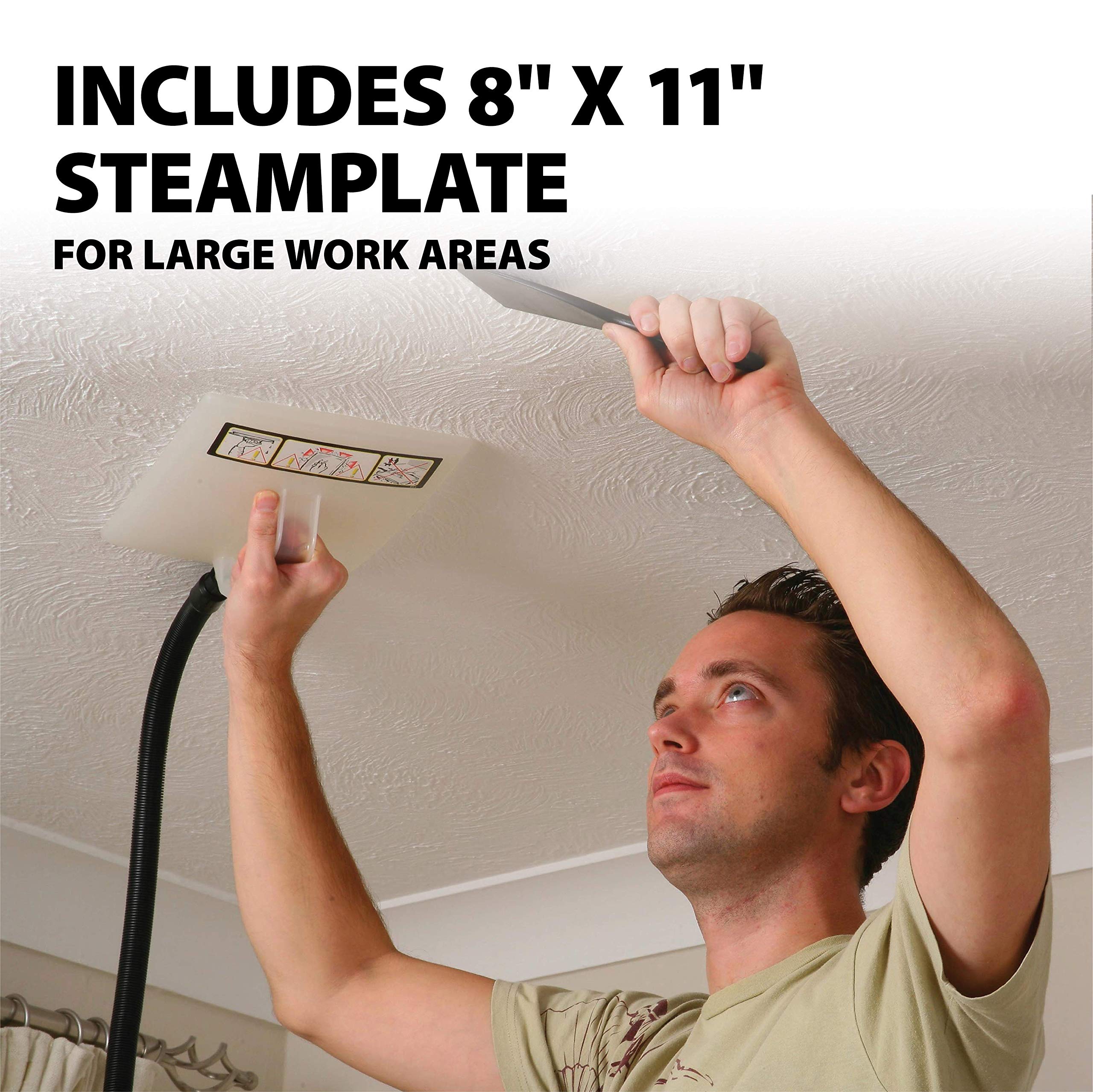 Wagner Spraytech 0282036 715 Power Steamer, Chemical Free Wallpaper Remover, Two Steam Plates Included, Long Run Time, Lightweight Design, Wallpaper Steamer