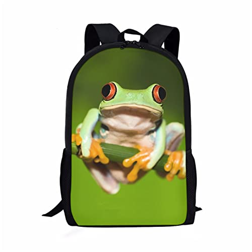 STUOARTE 3D Frog Backpack for School, Kids Backpack with Lunch Box 17 Inch Large Capacity Bookbag Kids School Backpack Set with Lunch Box Pen Holder Case, Lightweight Schoolbag for Children