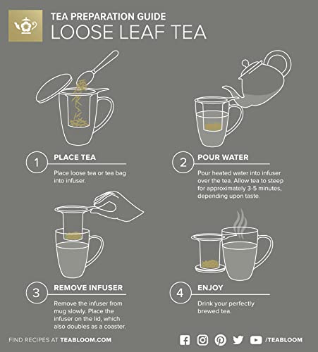 Teabloom Double-Wall Heatproof Glass Mug with Stainless Steel Infuser and White Lid β 15 OZ / 430 ML β 2 Blooming Teas Included
