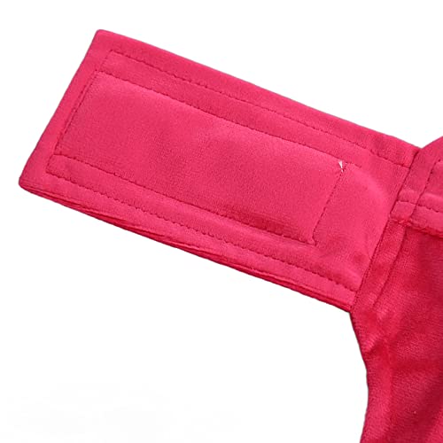 Qinlorgo Pet Formal Clothes, Hook and Closure Rose Red Breathable Hand Wash Soft Dog Suit Costume for Puppy for Party (XS)