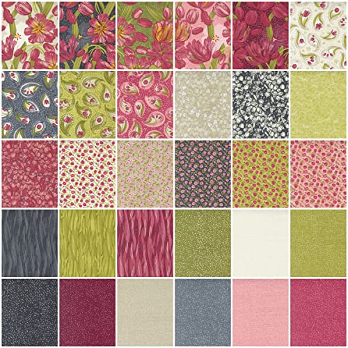 Robin Pickens Tulip Tango Jelly Roll 40 2.5-inch Strips Moda Fabrics 48710JR