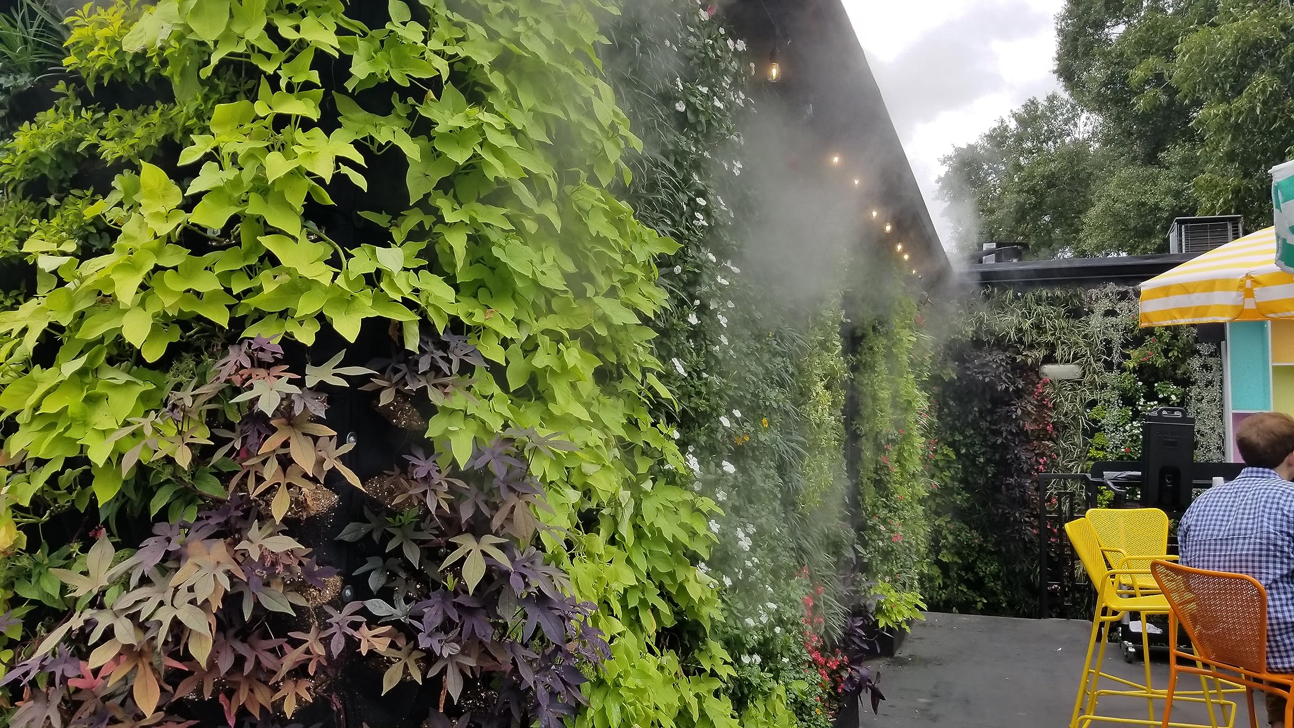 Mistcooling System - High pressure Misting System - Stainless Steel Tubing - 1500 PSI Misting Pump - DIY Misting System - Residential, Commercial & Industrial - (18 Ft Mist Line - 10 Nozzles)