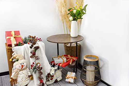 Nohle End Table for Living Room, Accent Table Round 2-Tier Tables with Storage,Small Nightstand,Black Metal Side Table H20in.