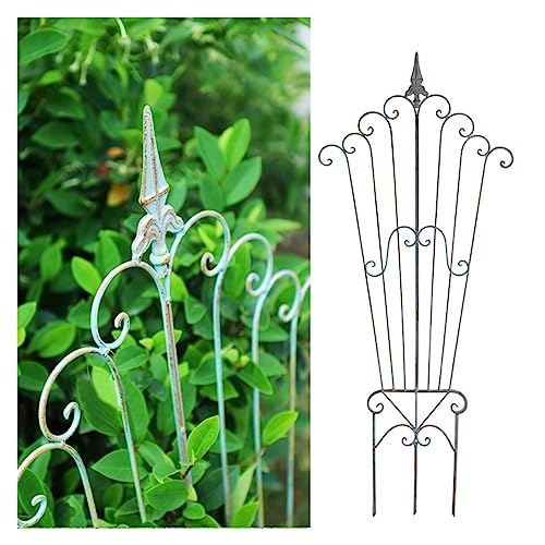 NOIRDA Vintage Garden Climbing Trellis, 125cm×53cm Fan-Shaped Plant Support Fence, Metal Rose Trellis for Outdoor Garden Lawn Terrace Flower Beds
