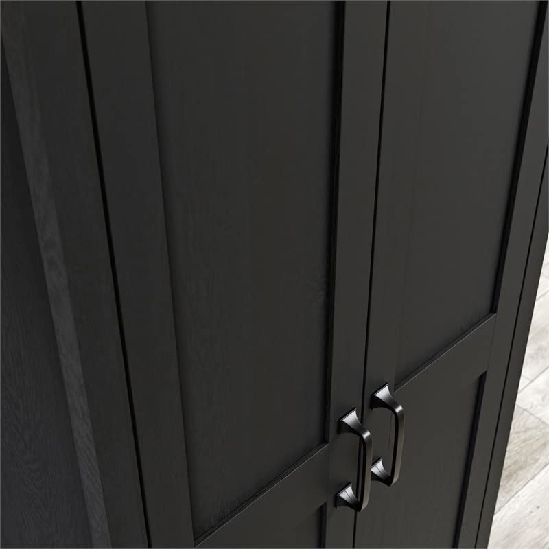 Sauder Engineered Wood 2-Door Storage Cabinet in Raven Oak Finish