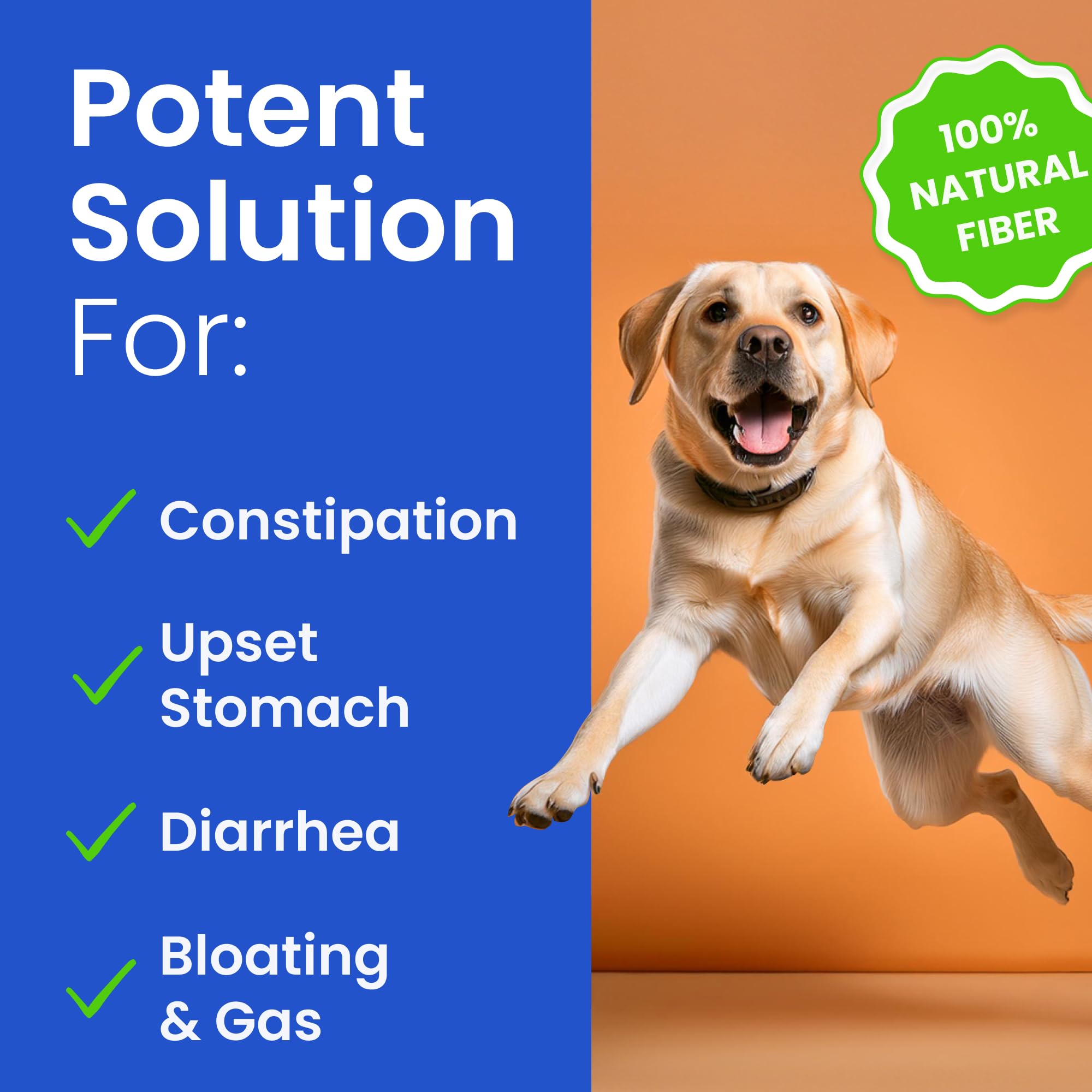 Pumpkin for Dogs - Apple, Pumpkin Seeds and Pumpkin Fruit - Fiber Supplement and Stool Softener - Diarrhea, Constipation, Upset Stomach, Food Sensitivity - Improve Digestion - 6oz Unflavored