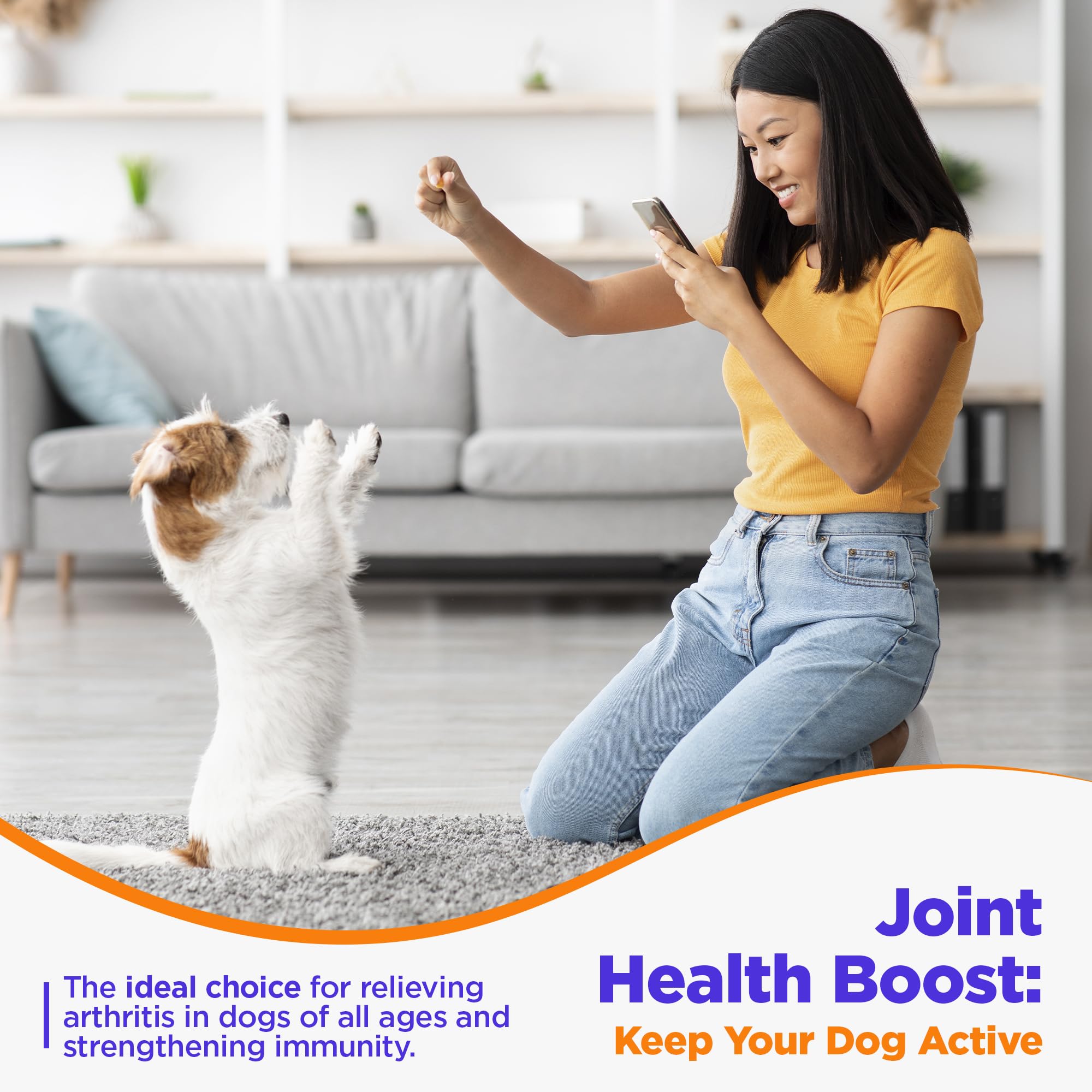 Supplement Anti Inflammatory for Dogs with Turmeric, Hip, and Joint - Dog Arthritis Pain Relief, Support for Mobility & Wellness, USA Made-GMP Certified, Non-GMO, 120 Tablets - Jack & Milo