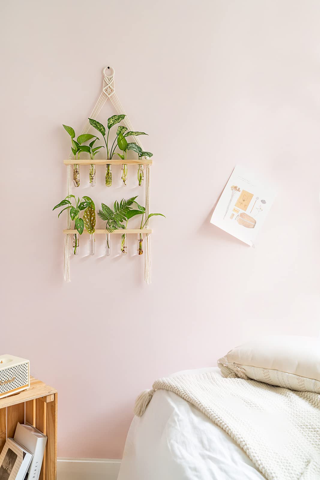 Mkono Wall Hanging Glass Planter with Macrame Hanger, Boho 2 Tier Propagation Tube Vase Plant Terrarium with Wooden Stand for Propagating Hydroponic Plants, Home Office Room Decor Women Gift Idea