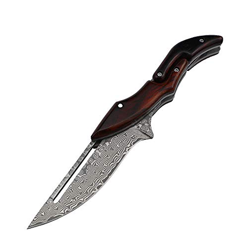 MASALONG Residual Wings KNI191 Damascus folding collection knife (Straight back)