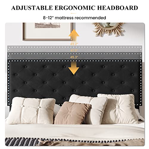 SHA CERLIN Queen Size Velvet Bed Frame, Upholstered Platform Bed with Adjustable Diamond Button Tufted Headboard, Rivet Ornament, Wood Slat Support, No Box Spring Needed, Easy Assembly, Black