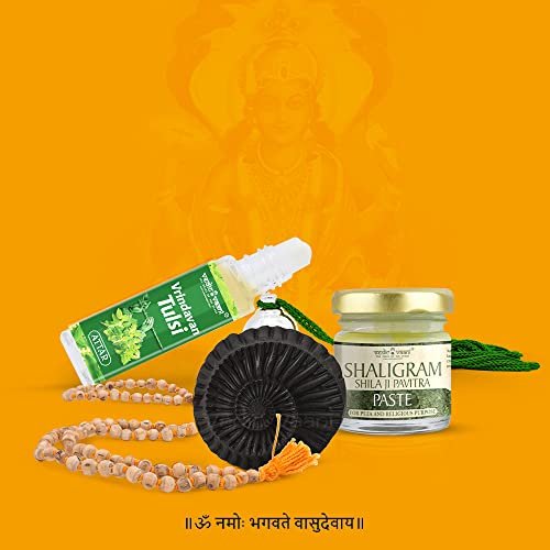 Vedic Vaani Siddh Vishnu Vinayak Divine Sudarshan Shaligram Stone Shila (Pack of 4)