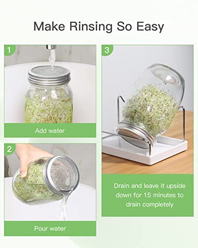 RAYPLE Sprouting Jar Kit, 2 Wide Mouth Mason Jars, Premium Stainless Steel Screen Sprout Lids, Blackout Sleeves, Tray, Stand, Sprouting Kit for Growing Broccoli,Alfalfa,Mung Bean