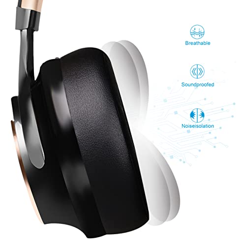 Riwbox Bluetooth Headphones, XBT-880 Headphones Wireless Bluetooth Over Ear with Microphone and Volume Control, Wireless and Wired Foldable Headset for iPhone/iPad/PC/Cell Phones/TV (Black)