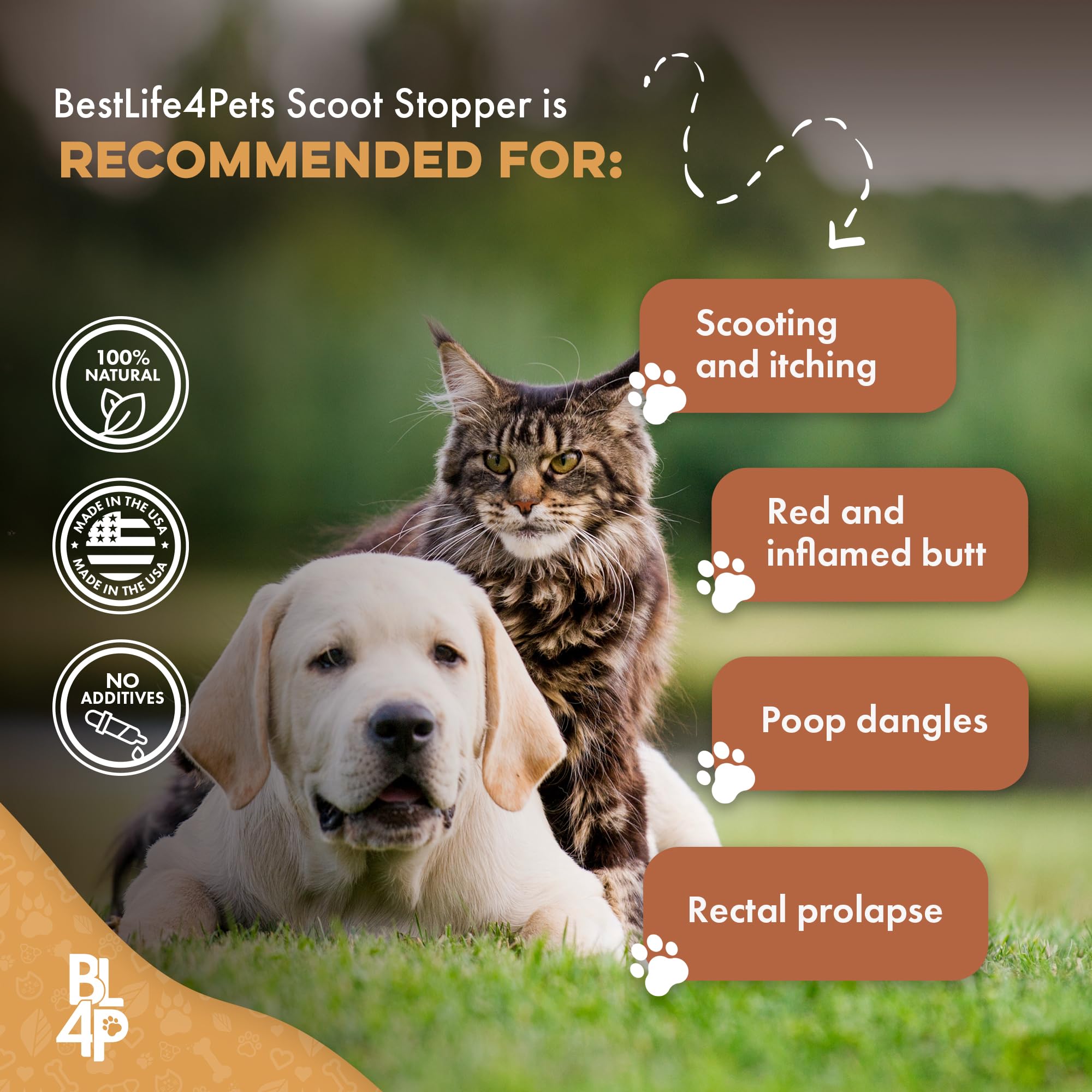 Scoot Stopper and Anal Gland Support for Dogs and Cats - 100% Natural Relief for Dog and Cat Constipation, Rectal Prolapse, Itching, Inflammation, Bum Scooting and Difficult Pooping - 400 Small Pills