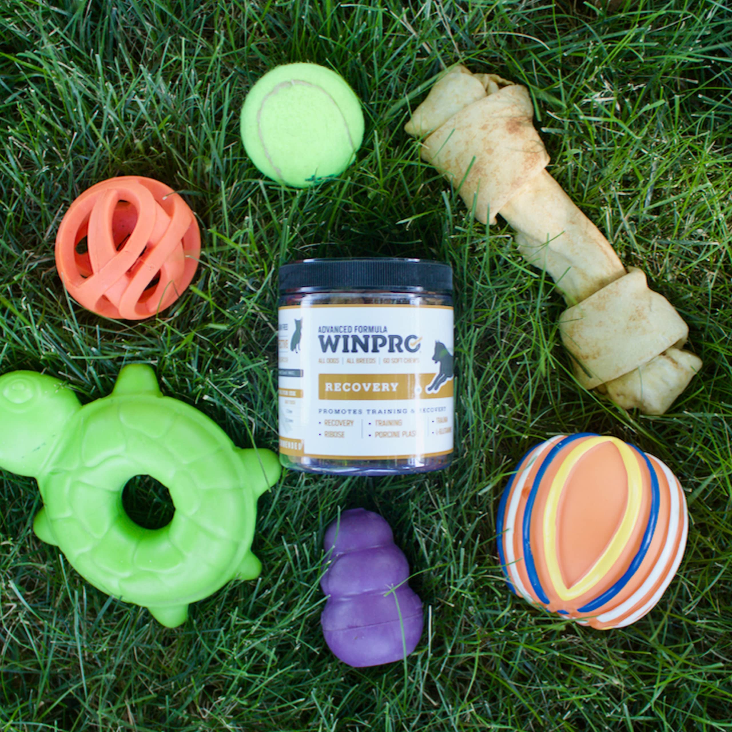 WINPRO Recovery Chews for Dogs, Plasma-Powered for Active Dogs, Immune System Support, and Dog Training Support for Competition and Sport Muscle Recovery and Agility, 60 Count, Made in USA